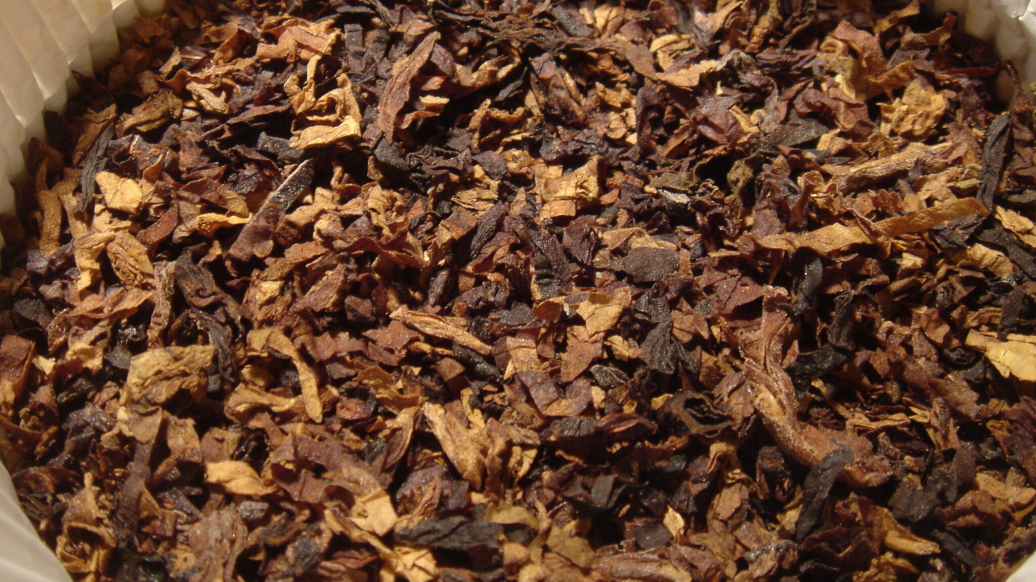 Il mercato del Tabacco vale il 10% dell’export di Bologna. E nel 2020 ...